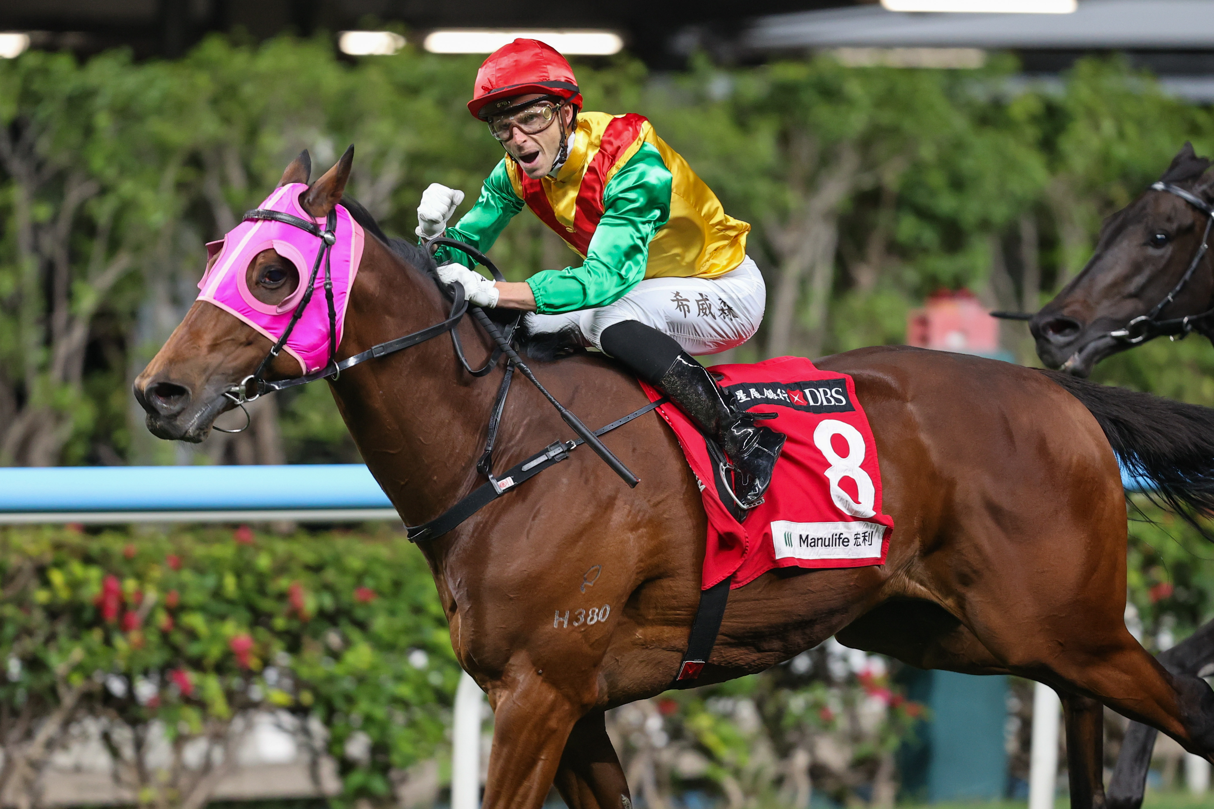 Speed Dragon (NZ) Strikes in January Cup | New Zealand Bloodstock ...