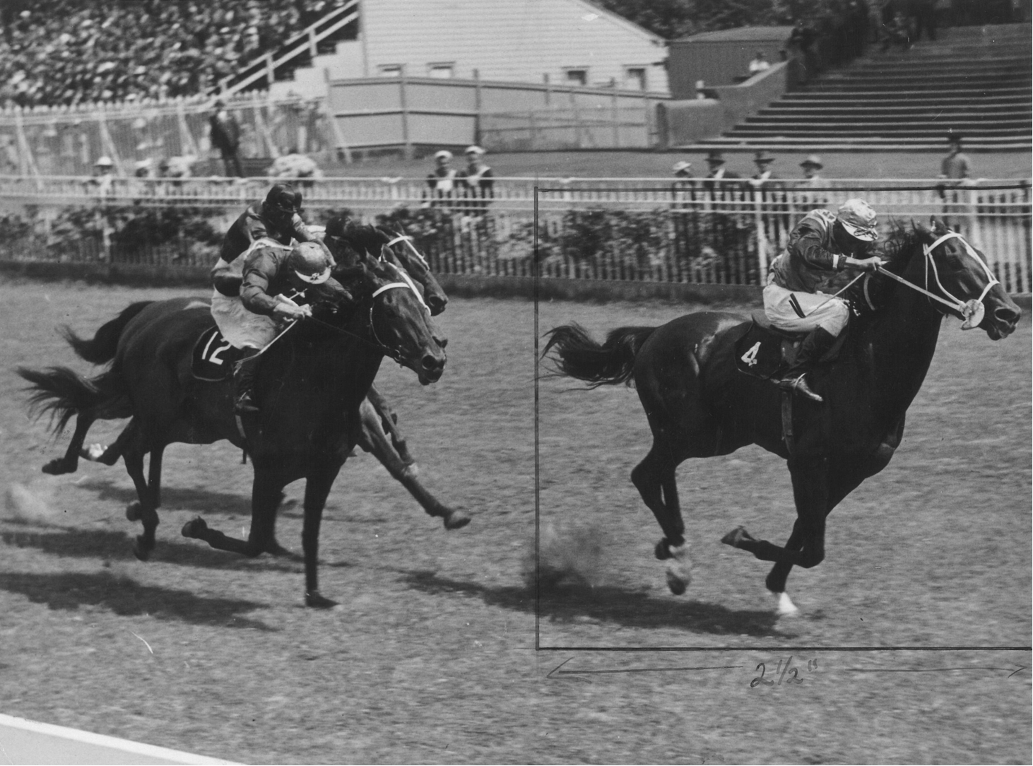 A Century of National Yearling Sales Success: Auckland Cup | New ...