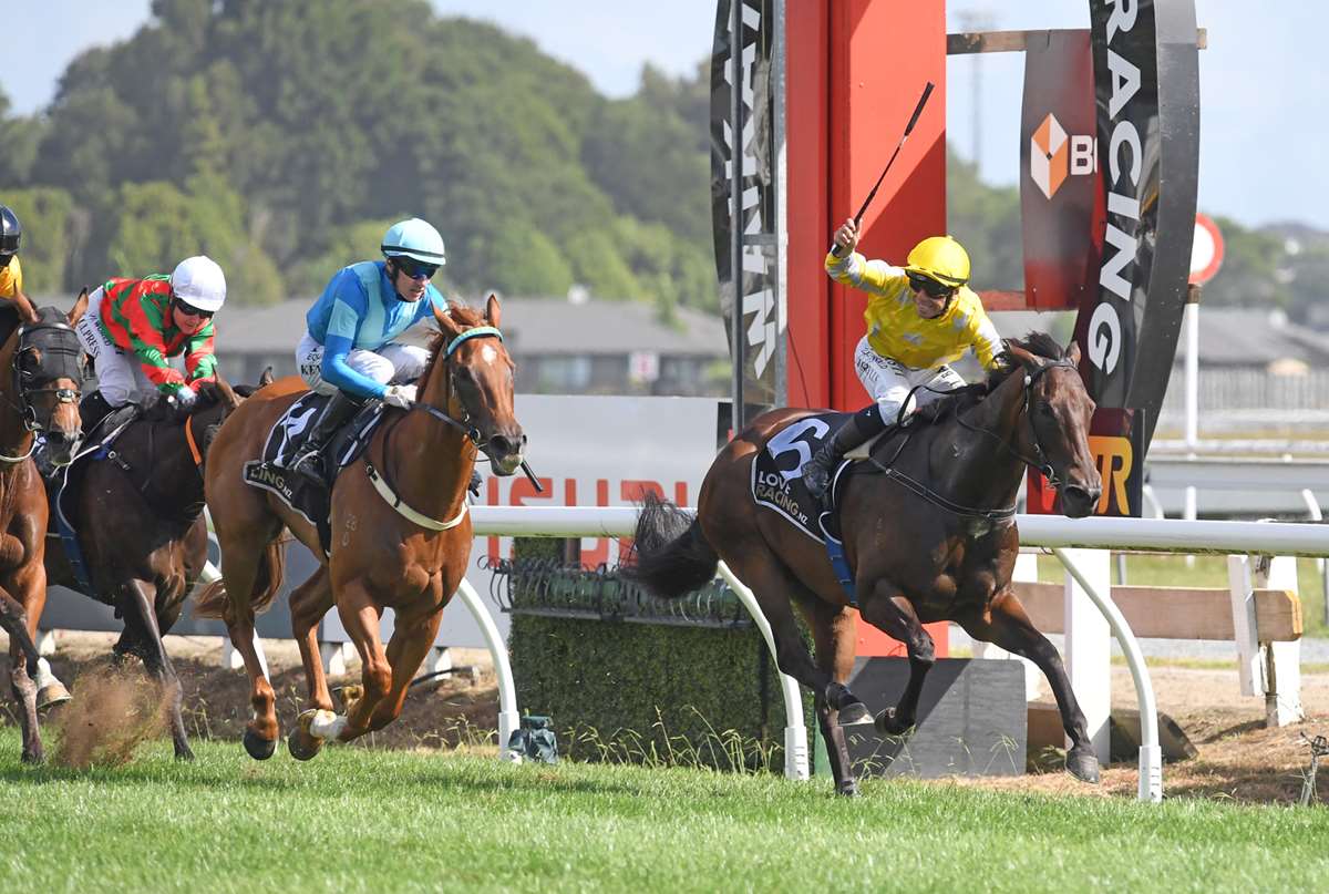 Group One winner Bonny Lass Selling Soon on Gavelhouse Plus | New ...