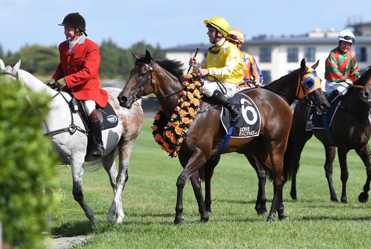 Group One winner Bonny Lass Selling Soon on Gavelhouse Plus | New ...
