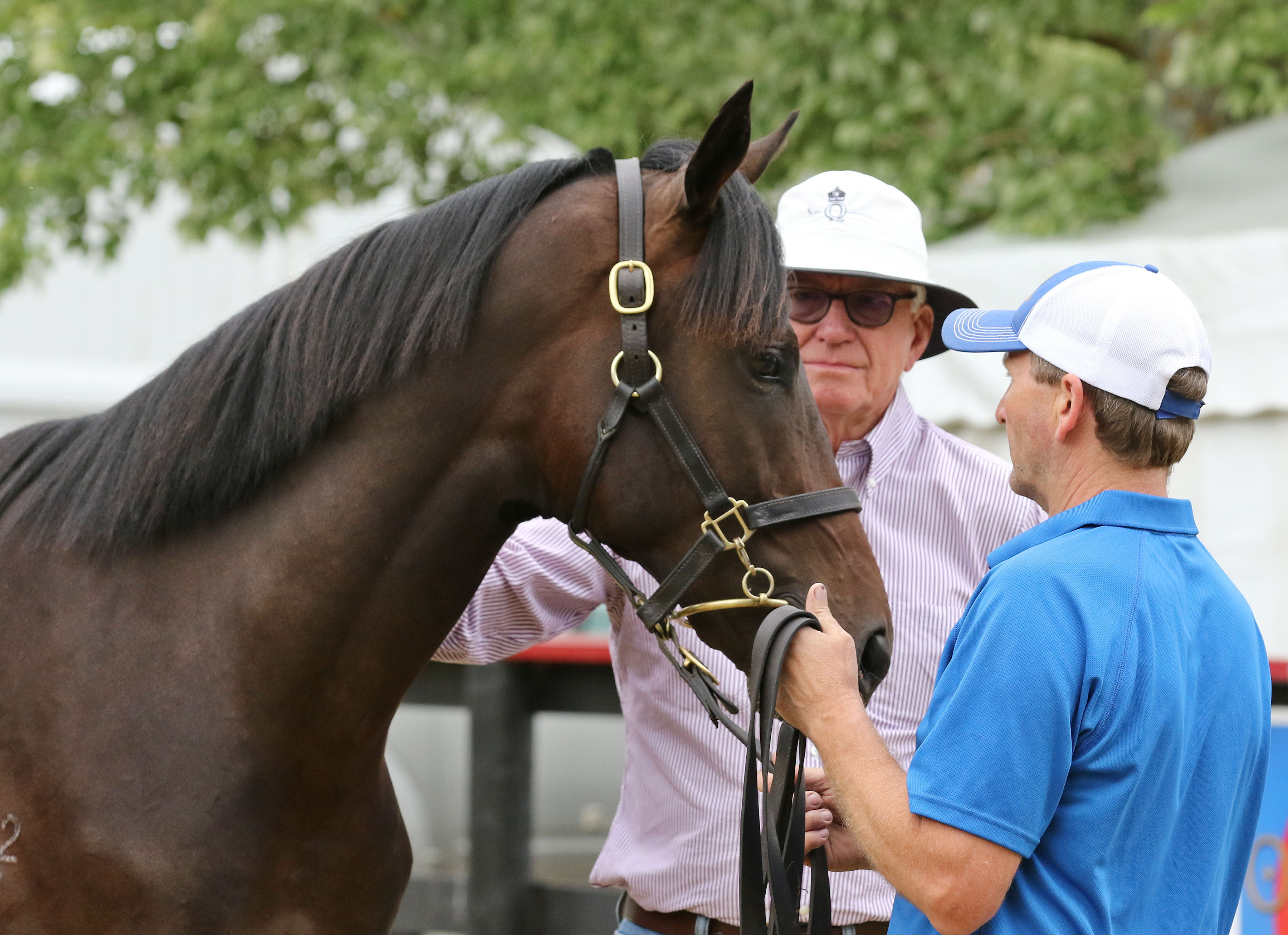 51st National Yearling Sale for International Bloodstock Agent John ...