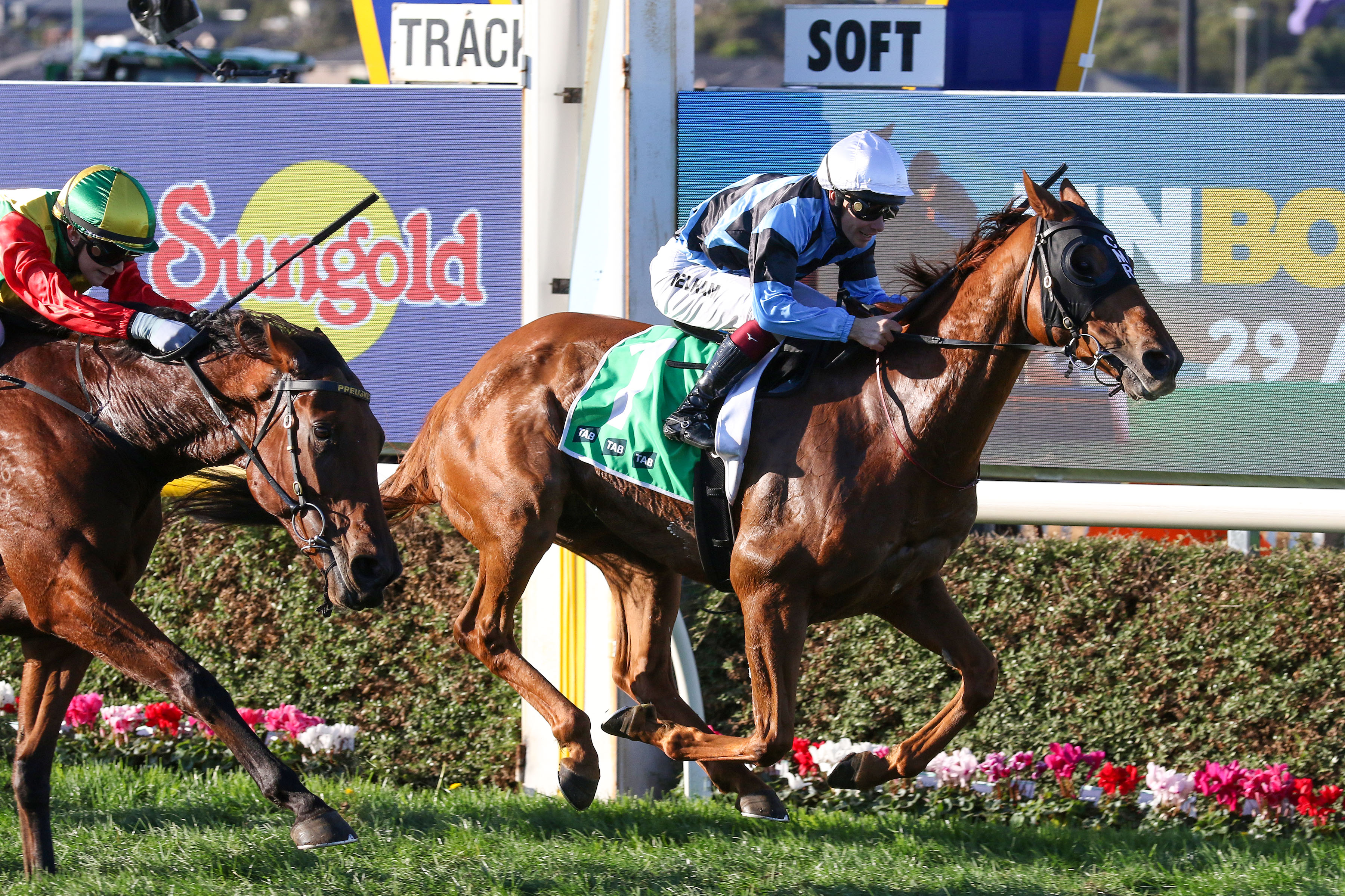 Smokin’ Romans (NZ) Heads Karaka Quinella in Cup | New Zealand ...