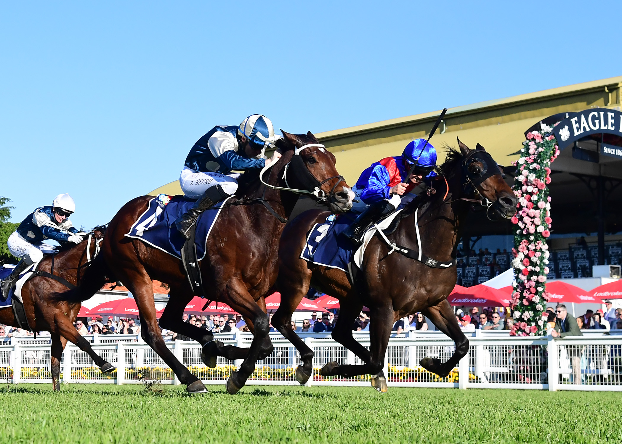 Queensland Carnival Double for Millionaire War Eternal (NZ) | New ...