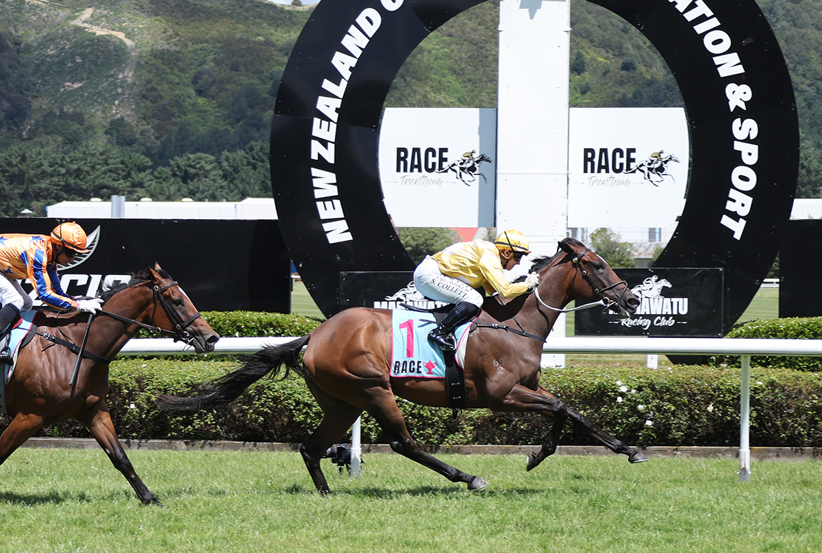 NZB Filly of the Year Series Newcomer Impresses in Eulogy | New Zealand ...