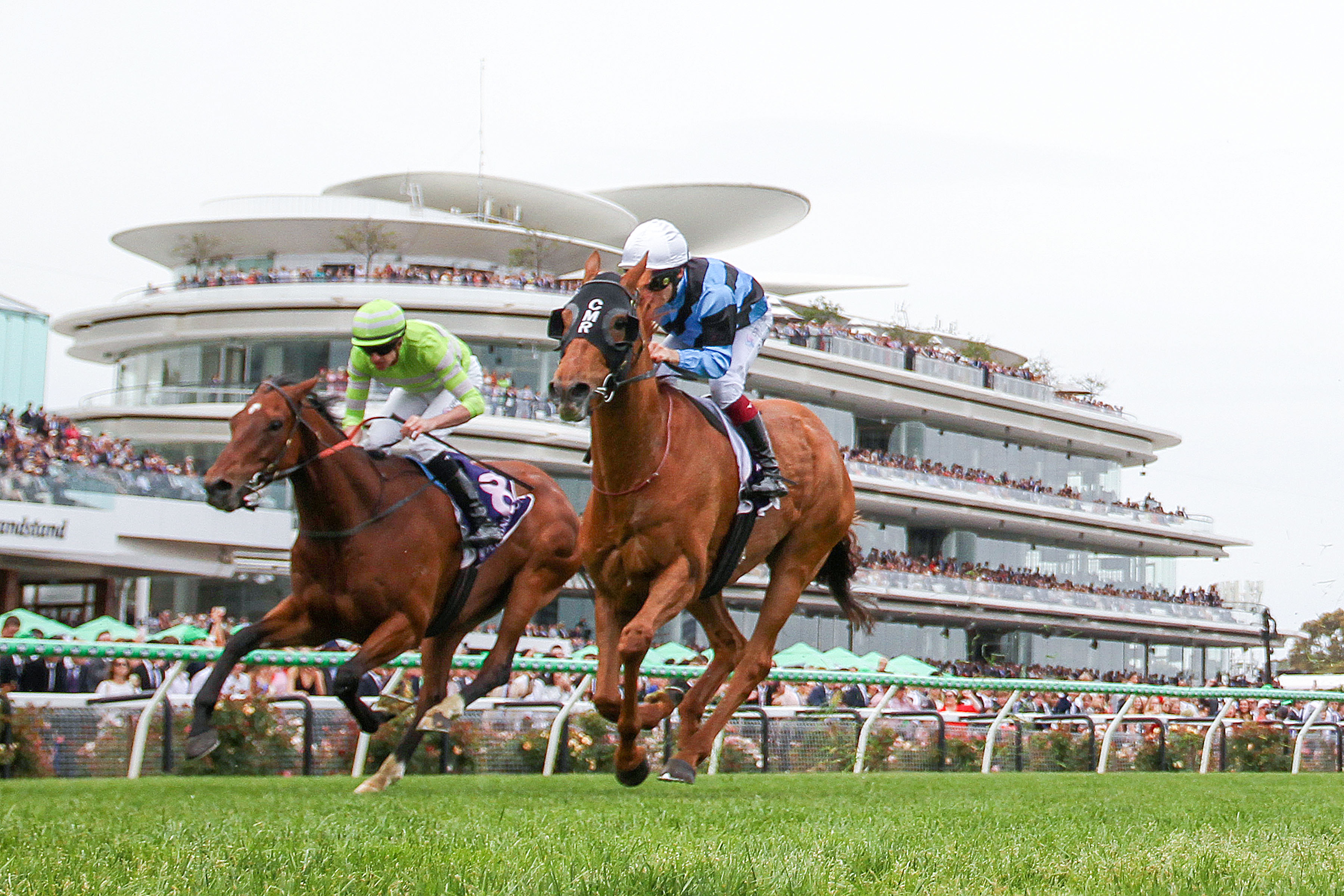 Smokin’ Romans (NZ) Back in Winning Groove | New Zealand Bloodstock ...